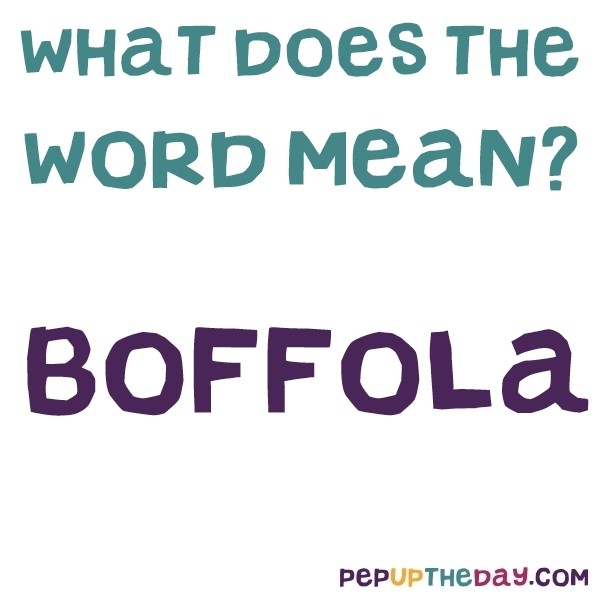 What does the word boffola mean?