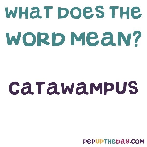 What does the word catawampus mean?